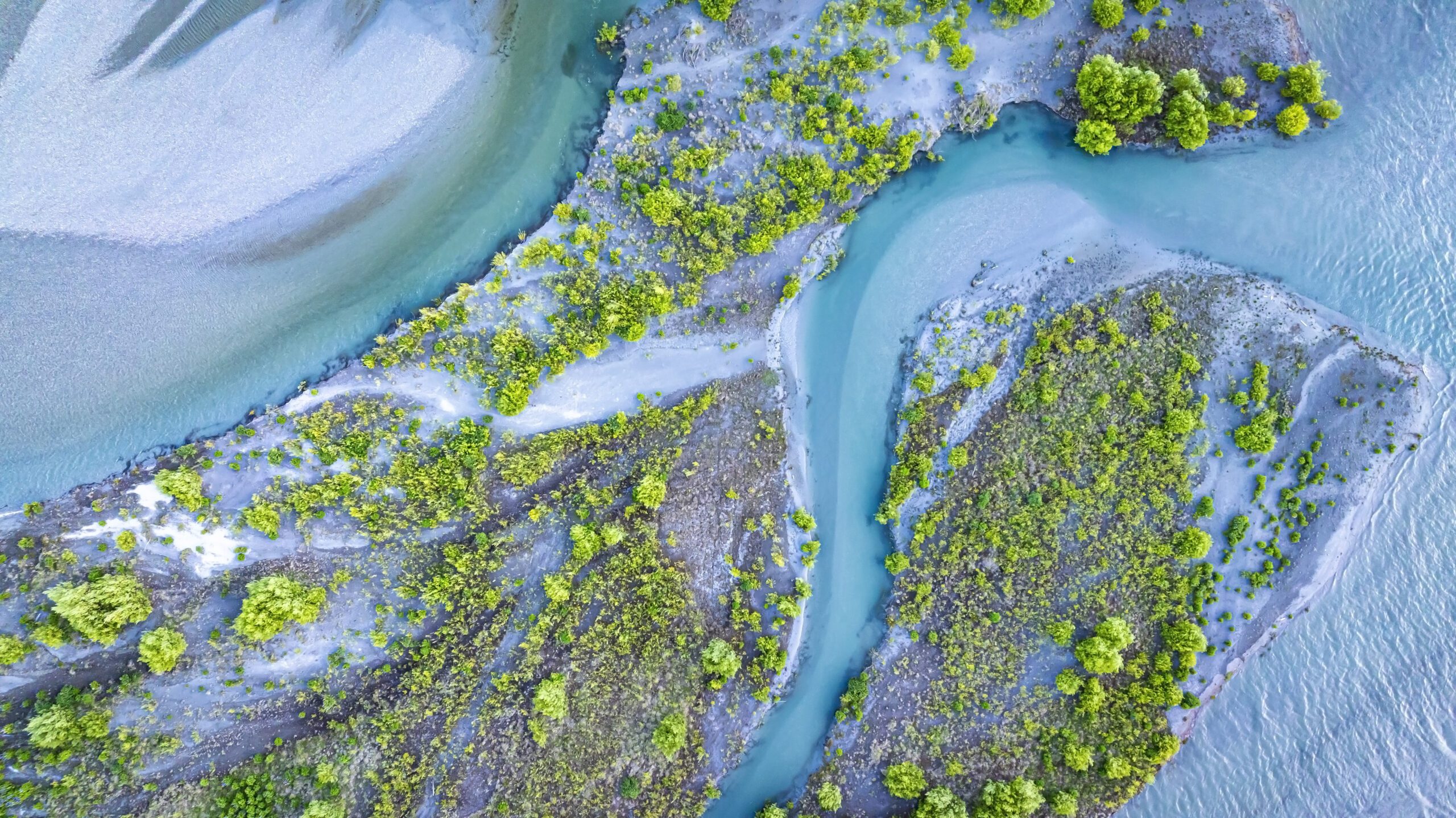 The Evolving Landscape of Fixed Income Investing - Ardea Investment ...